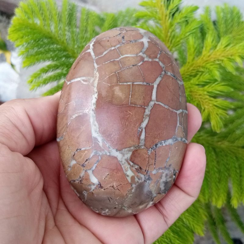 Jual Batu Akik Natural Sisik Naga / Ular / Septarian Nodule Big Jumbo ...
