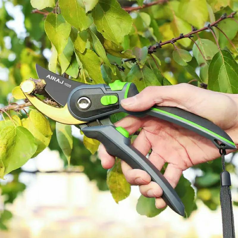 Jual Gunting Tajam Dahan Ranting Pohon Taman ORI Tumbuhan Pruning Shear ...