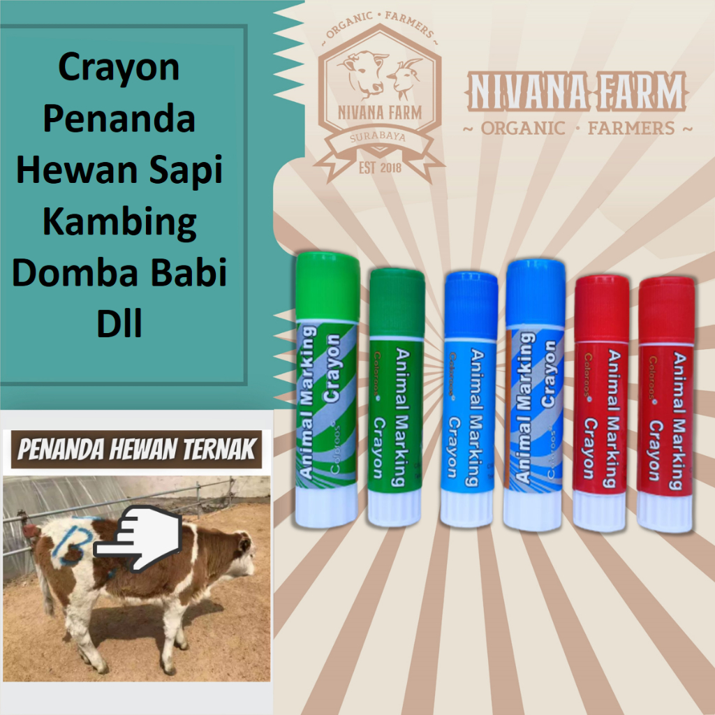 Jual Crayon Penanda Hewan Sapi Kambing Domba Babi Dll | Shopee Indonesia