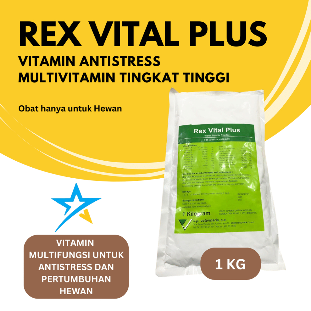 Jual REX VITAL PLUS 1KG - VITAMIN ANTISTRESS MULTIVITAMIN TINGKAT ...