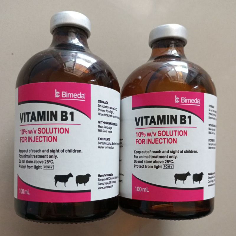 Jual VITAMIN B1 BIMEDA 100 ml | Shopee Indonesia