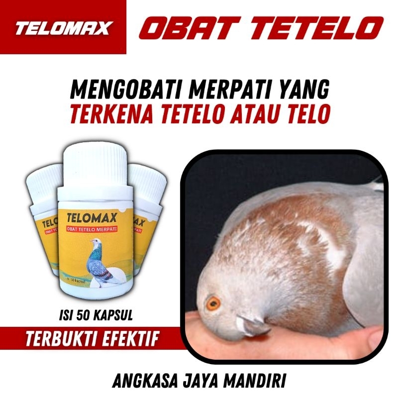 Jual 𝗢𝗕𝗔𝗧 𝗧𝗘𝗧𝗘𝗟𝗢 / 𝗧𝗘𝗟𝗢 𝗠𝗘𝗥𝗣𝗔𝗧𝗜 !! TELOMAX | Shopee Indonesia
