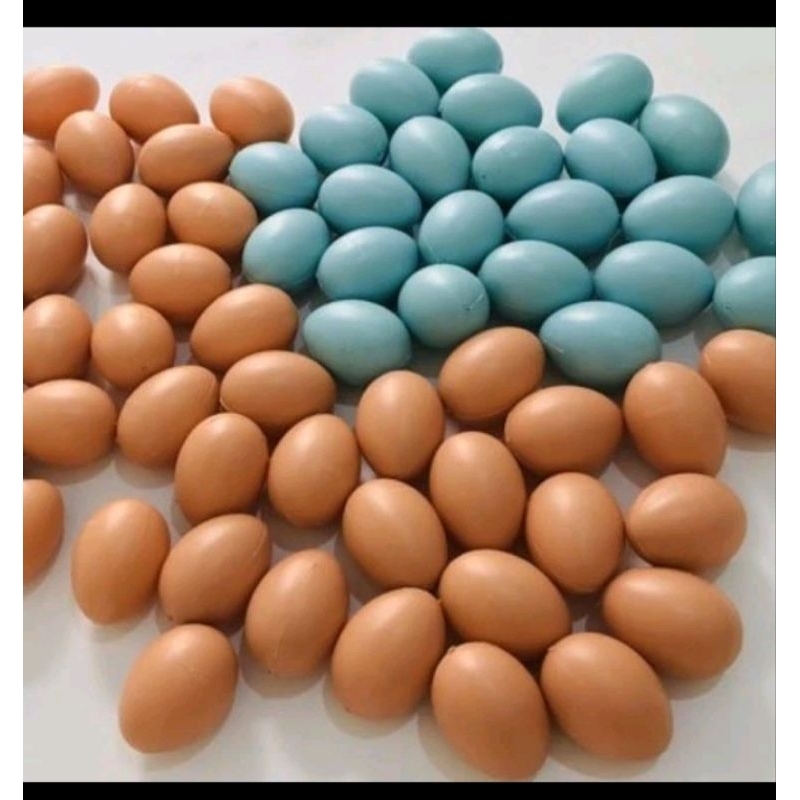Jual MAINAN PLASTIK TELUR AYAM | Shopee Indonesia