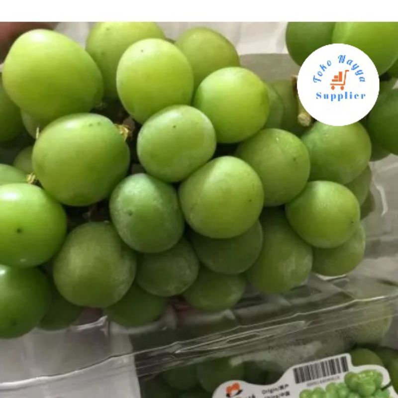 Jual Anggur Muscat Terlengkap & Harga Terbaru Mei 2026 | Shopee Indonesia
