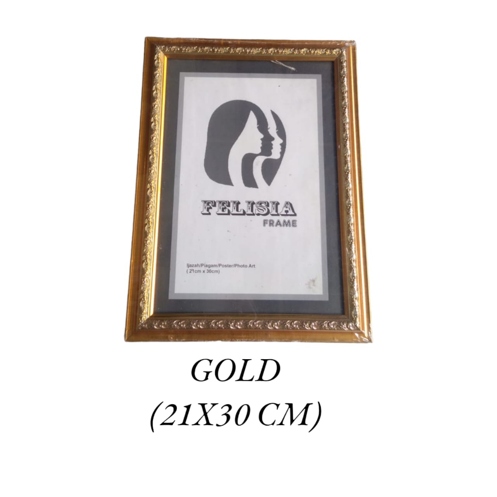 Jual BINGKAI FIBER GOLD/ FRAME FOTO / PIGURA 21x30 CM | Shopee Indonesia