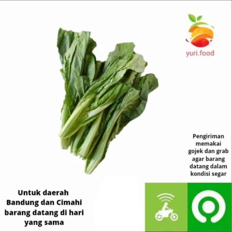 Jual Pakcoy 250gr | Shopee Indonesia