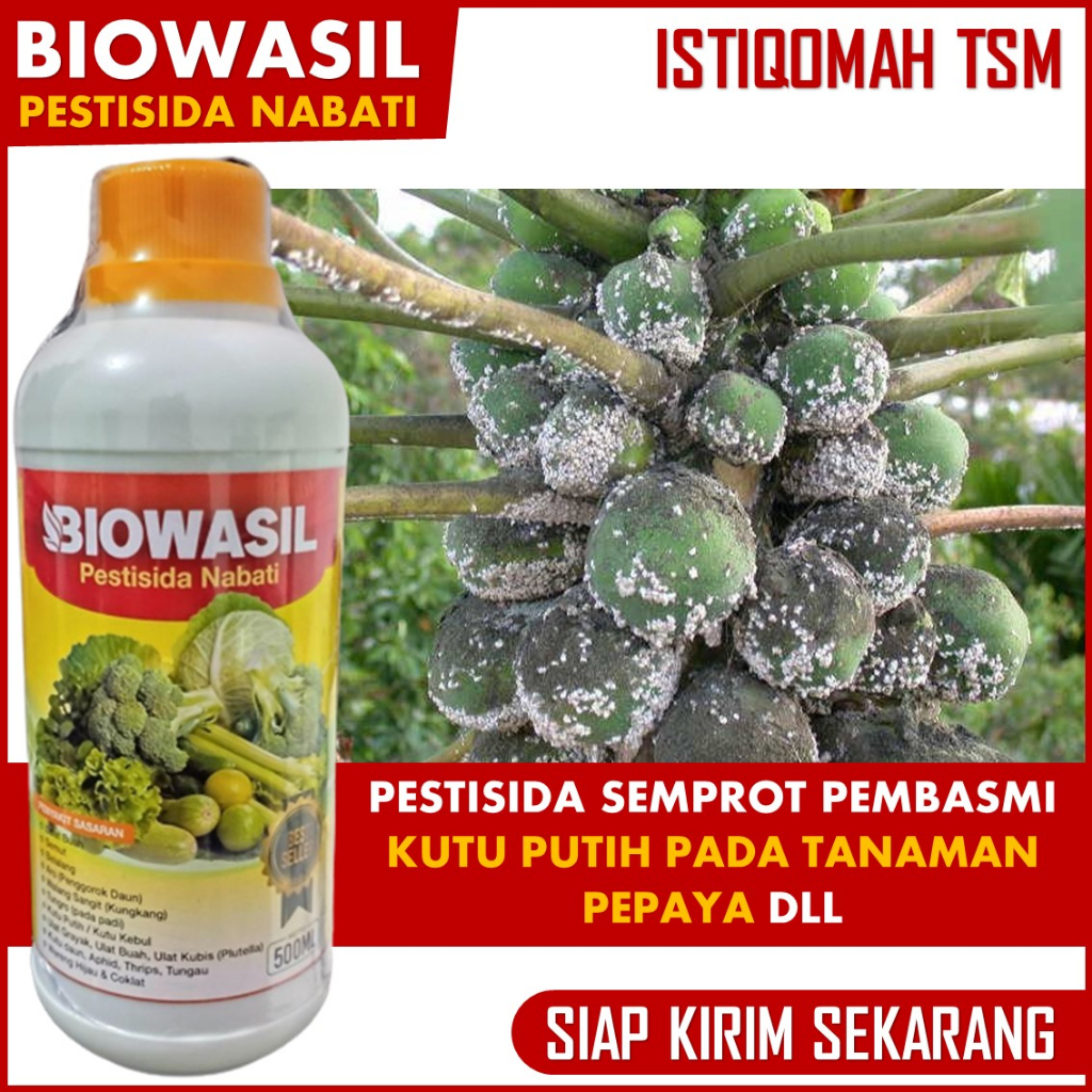 Jual PROMO BIOWASIL Pestisida Nabati Semprot Pengendali Hama Kutu Putih ...