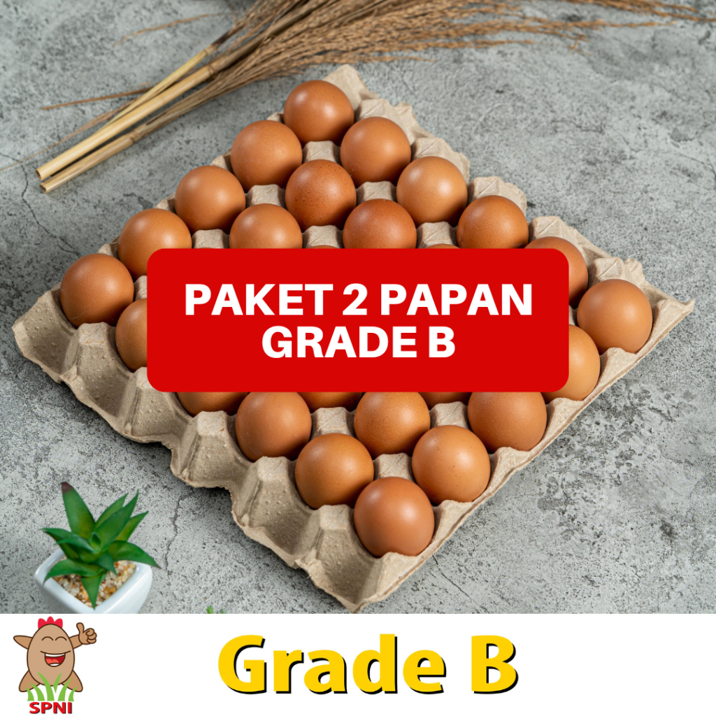 Jual Telur Ayam SPNI Besar (Grade B 60 Butir) PAKET 2 PAPAN | Shopee ...