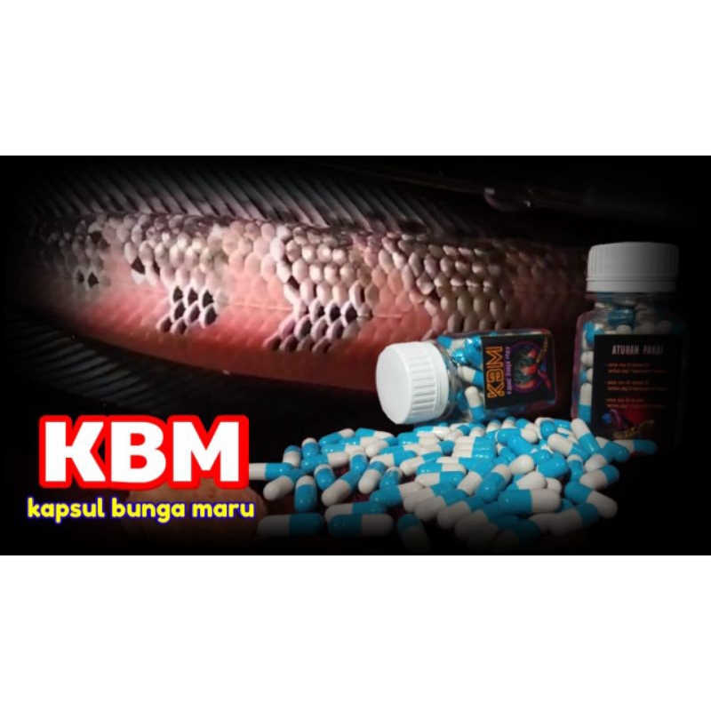 Jual KBM(kapsulbungamaru) | Shopee Indonesia
