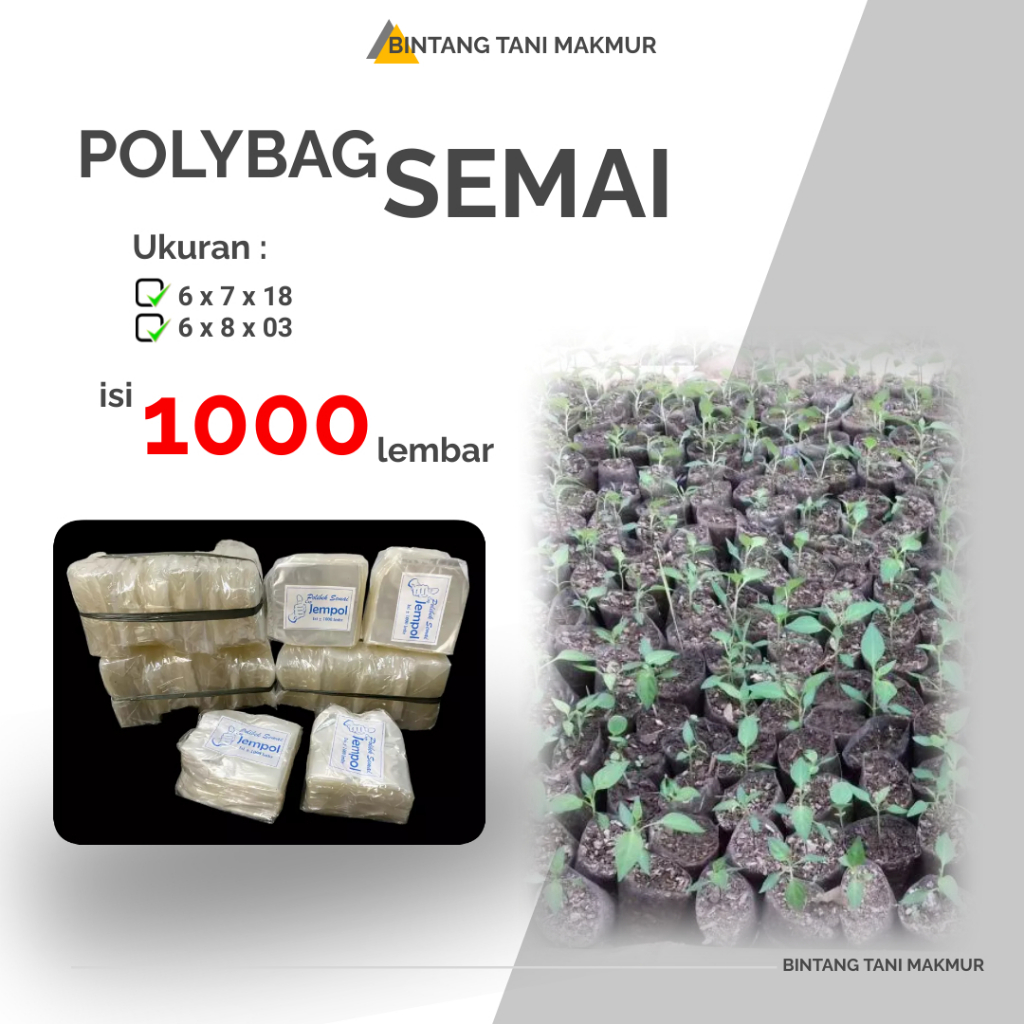 Jual POLYBAG SEMAI POLIBEK SEMAI TANAMAN SAYUR ISI 1000 LEMBAR | Shopee Indonesia