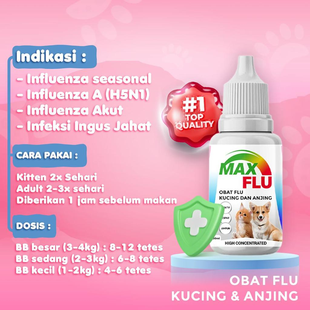 Jual Max flu 30 ml untuk mengatasi kucing yang terkena flu | Shopee ...