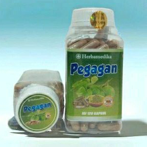 Jual Kapsul Pegagan 120 kapsul CV Herbamedika | Shopee Indonesia