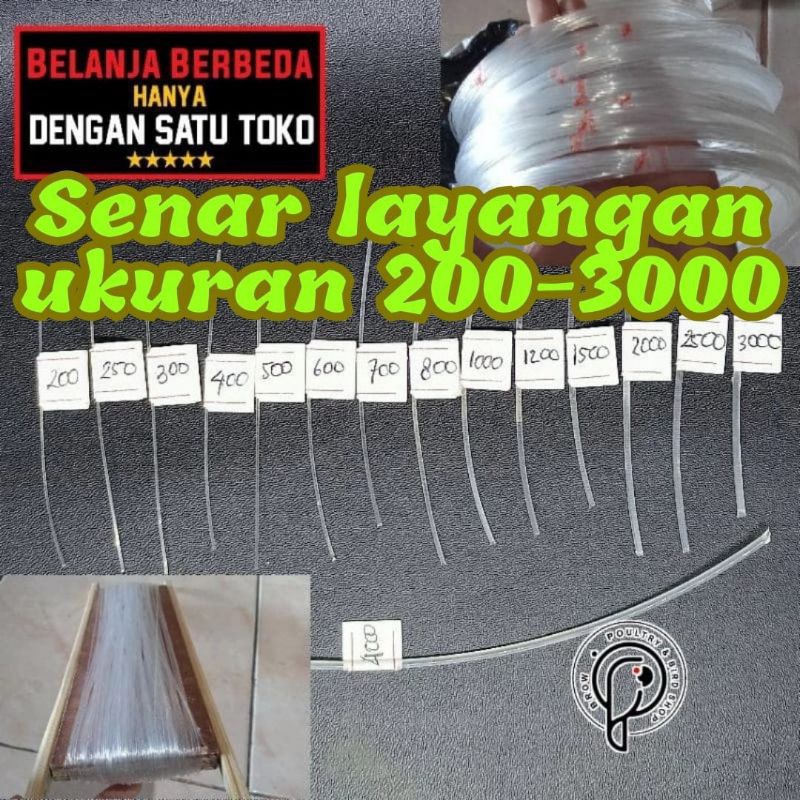Jual SENAR LAYANGAN GAPANGAN 200 - 3000 CAP IKAN ARWANA / KAKAP ...