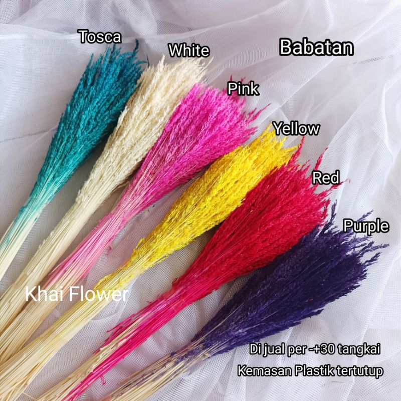 Jual Babatan Rumput Dried Flower Bunga Kering Bahan Craft Kerajinan ...
