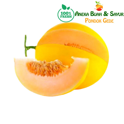 Jual Buah Melon Golden Kuning Segar 1 Pcs | Shopee Indonesia