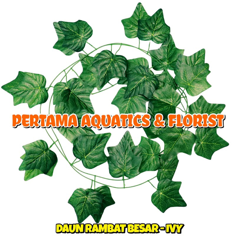 Jual Satuan Rambat Besar/ Rambat Jumbo/ Daun Dekorasi/ Daun Rambat ...