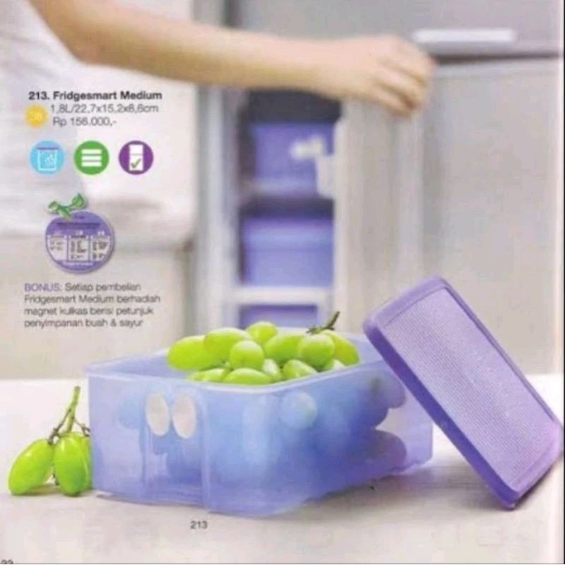 Jual Fridgesmart Medium Tupperware 1,8L | Shopee Indonesia