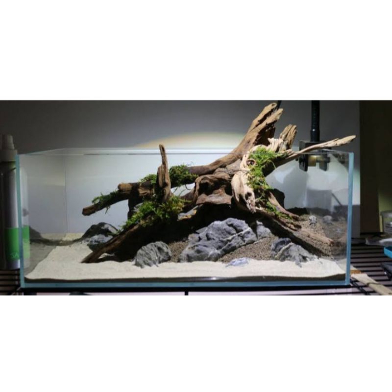 Jual kayu rentek pilihan buat aquascape | Shopee Indonesia