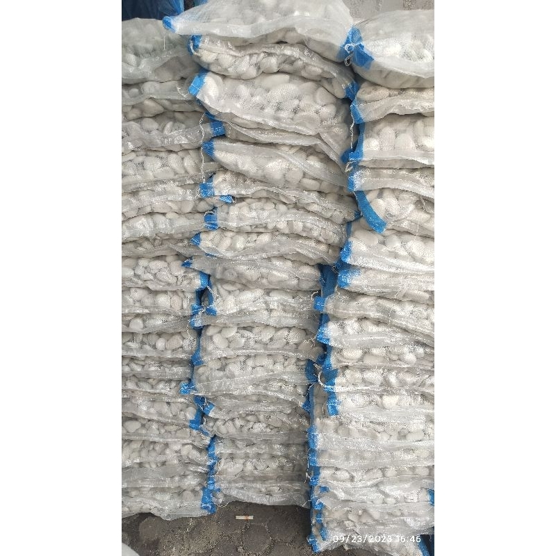 Jual batu kolar colar Putih 1 karung 10kg / batu kolar Putih / batu ...
