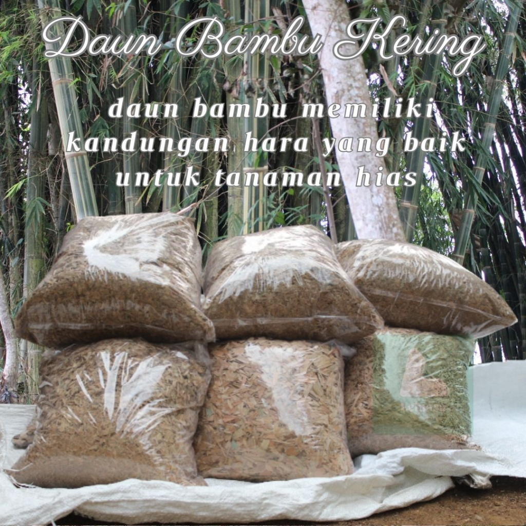 Jual Media Tanam Daun Bambu Kering Cacahan Cacah Bisa Untuk Bahan ...