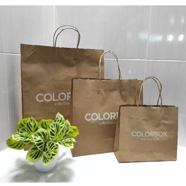 Jual PAPER BAG COLORBOX | Shopee Indonesia