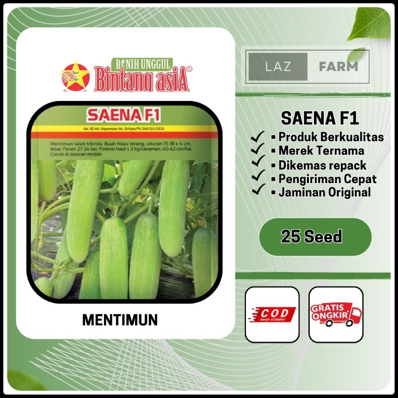 Jual Benih Timun SAENA F1 25 Butir BINTANG ASIA [Kemasan Repack ...