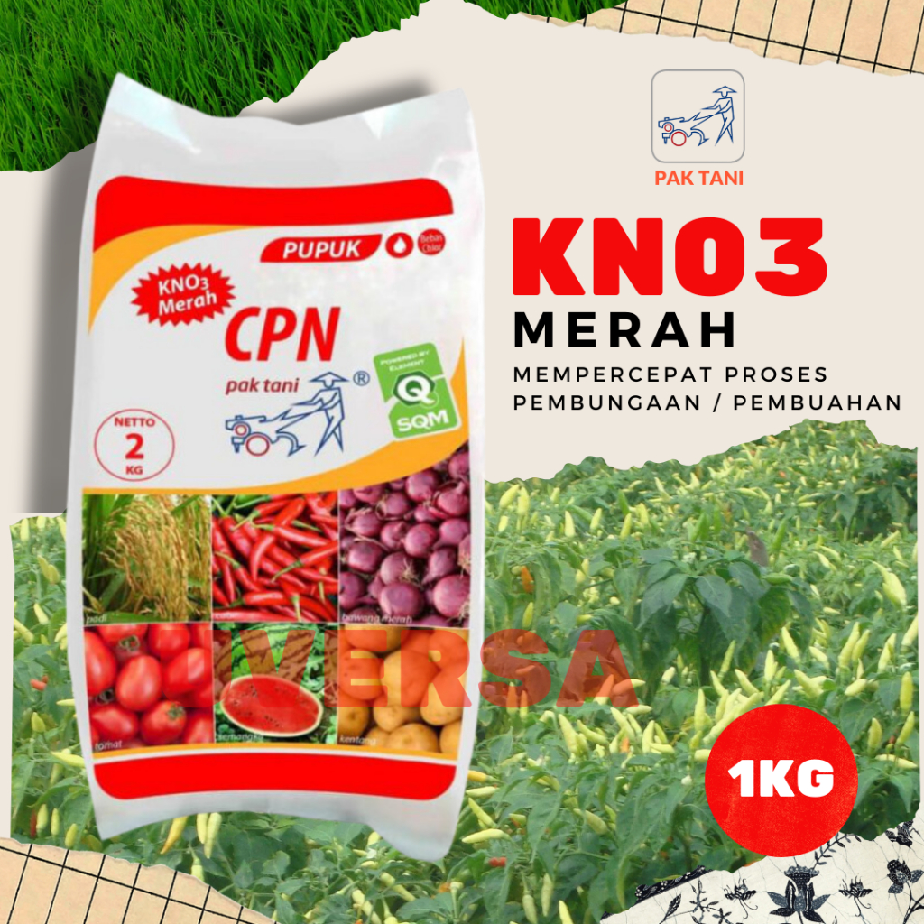 Jual Pupuk KN03 Merah CPN 15-0-14 Pak Tani Kemasan Pabrik 2 Kg | Shopee ...