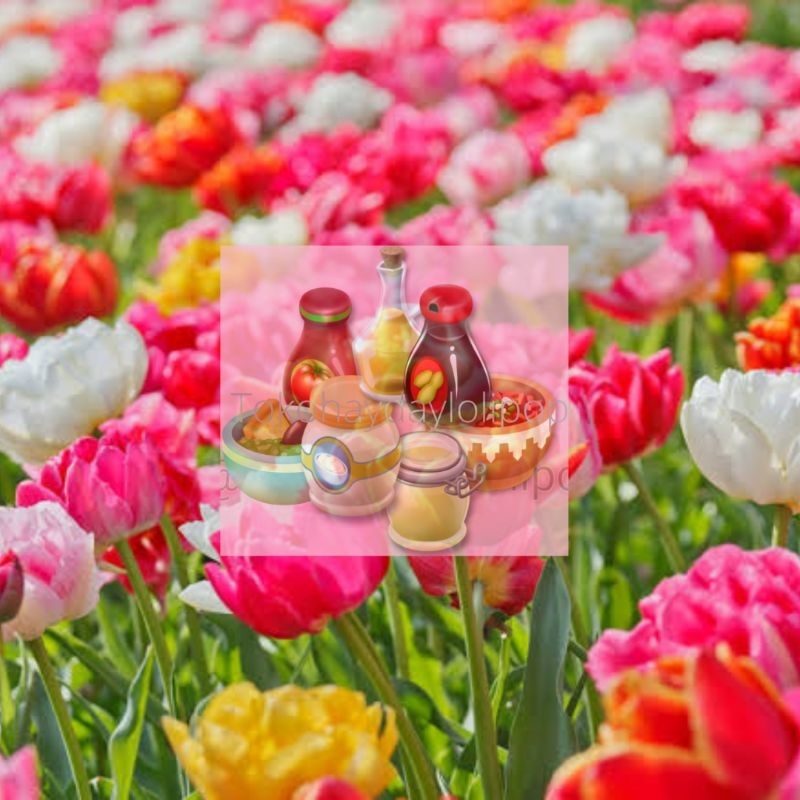 Jual kertas kado gambar bunga tulip dan sauce | Shopee Indonesia