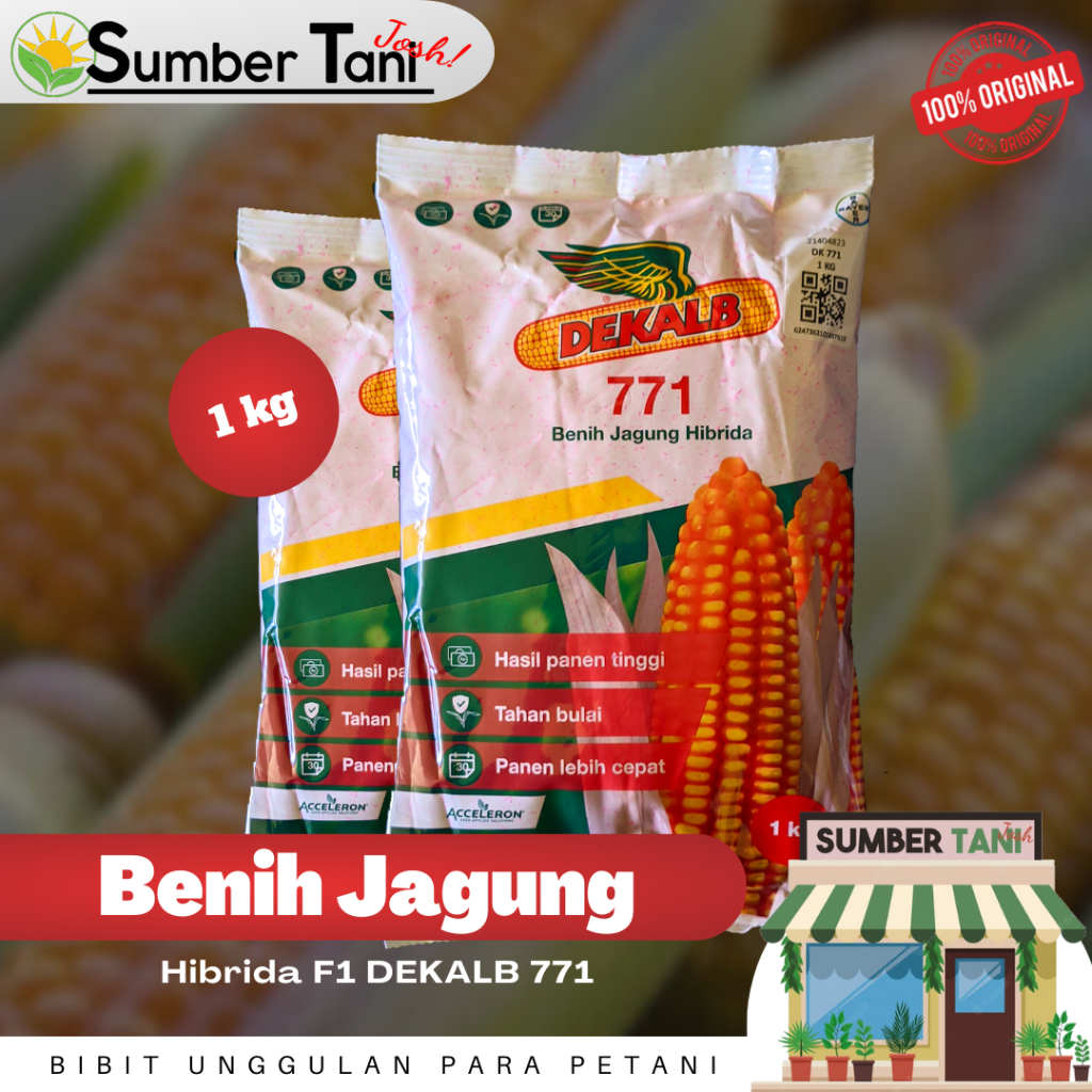 Jual Benih Jagung Dekalb 771 Kemasan 1Kg | Shopee Indonesia