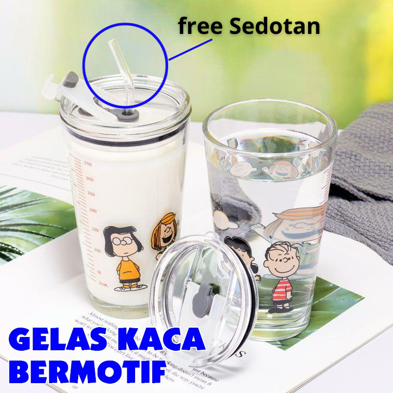 Jual Gelas Tumblr Kaca Bening Gelas Mug Gelas Kaca dengan Tutup Anti ...