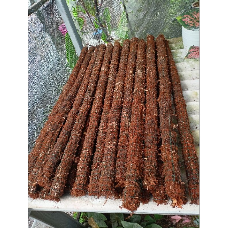 Jual turus atau penyangga tanaman dari mos hitam | Shopee Indonesia