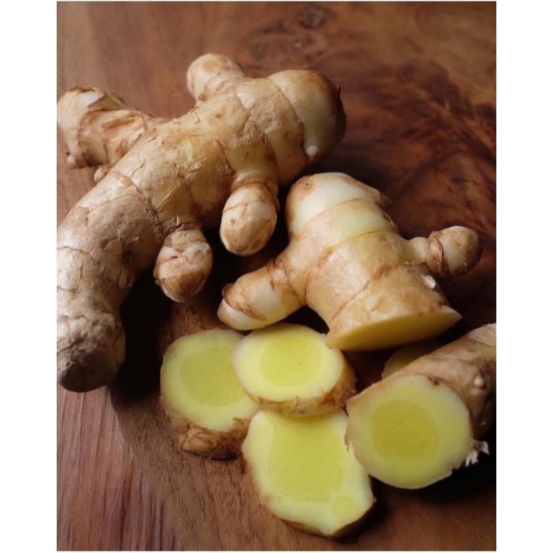 Jual TEMU MANGGA SEGAR SUDAH DICUCI BERSIH 1KG | Shopee Indonesia