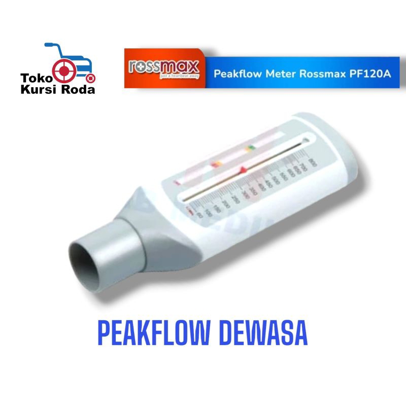 Jual ROSSMAX Peak Flow Meter PF120A DEWASA dan PF120C ANAK | Shopee ...