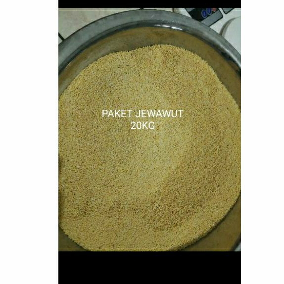 Jual [20KG] BIJI KUNYIT / BIJI JAWAK / JEWAWUT / SEKOI / FOXTAIL MILLET ...