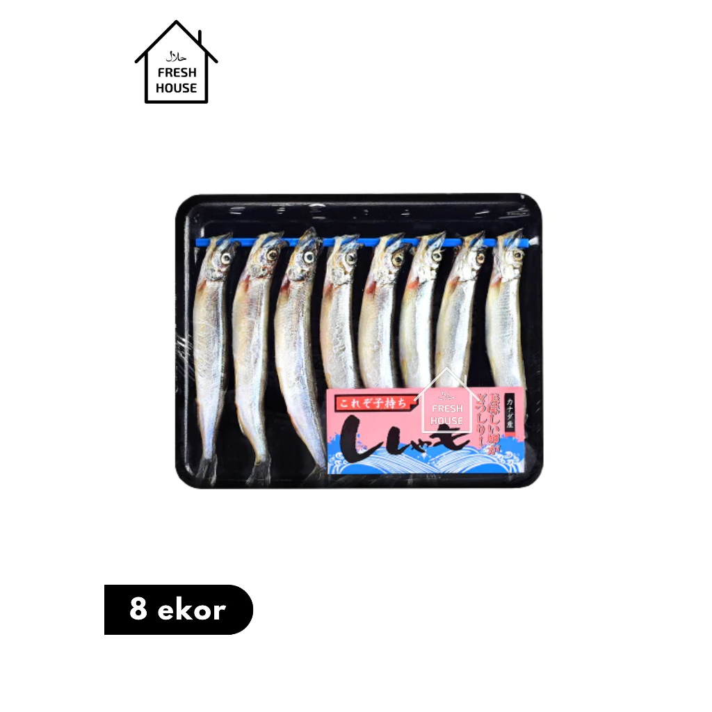 Jual IKAN SHISAMO PREMIUM ISI 8 EKOR | Shopee Indonesia