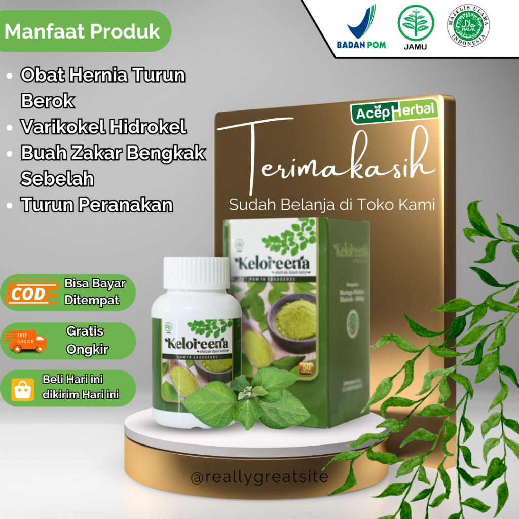 Jual Obat Hernia Turun Berok Peranakan Varikokel Hidrokel Buah Zakar ...