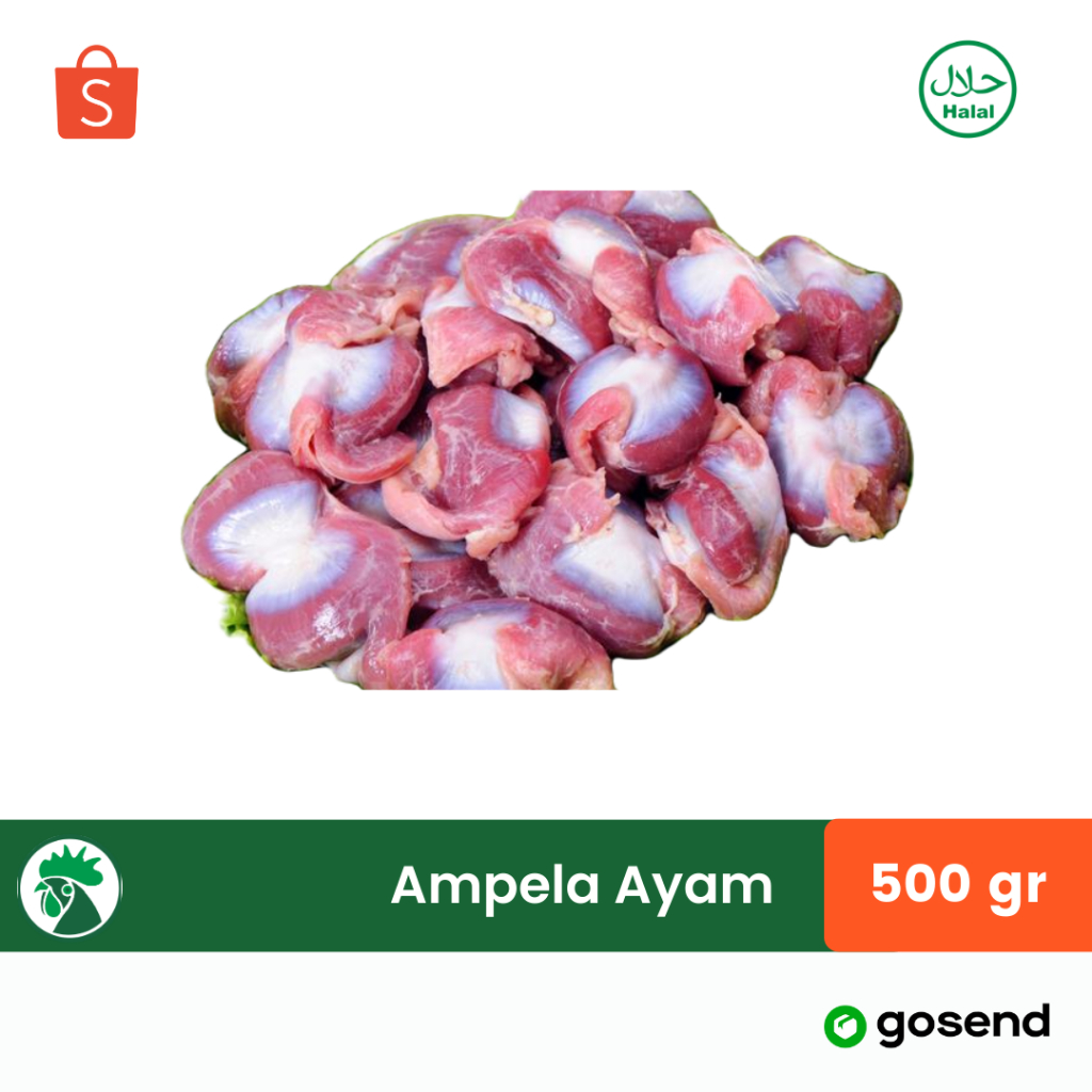 Jual Ampela (Rempelo) Ayam Potong 500gr | Jeroan Ayam Broiler | Shopee ...