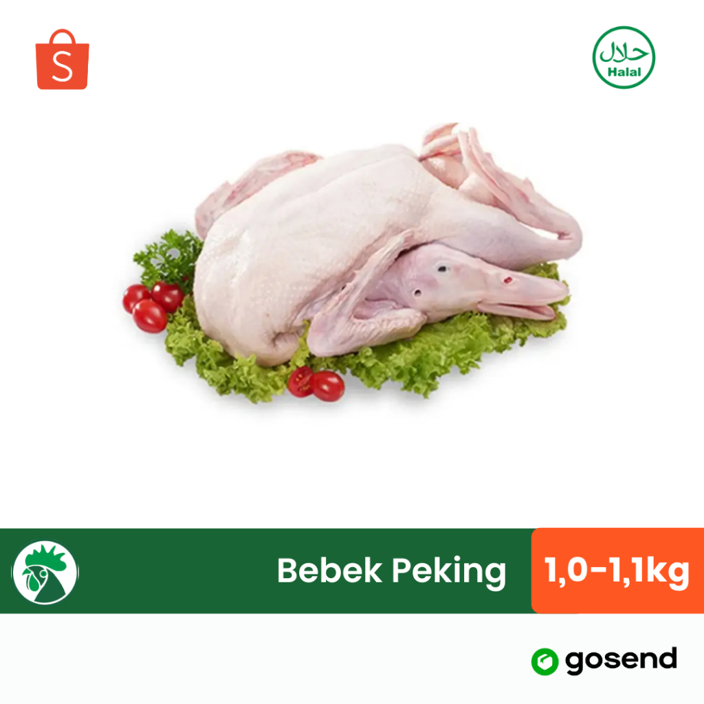 Jual Bebek Peking/Muda 1 Ekor | Size 1- 1.3 Kg | Utuh - Potong 4 ...