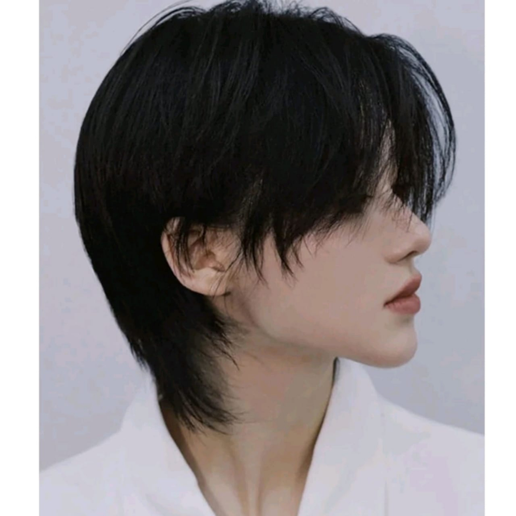 Jual Wig Pria Rambut Palsu Mullet Pendek Gondrong Pendek Warna Hitam ...