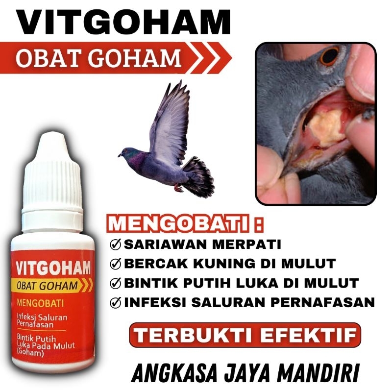 Jual VITGOHAM 𝗢𝗕𝗔𝗧 𝗚𝗢𝗛𝗔𝗠 𝗠𝗘𝗥𝗣𝗔𝗧𝗜 | Shopee Indonesia