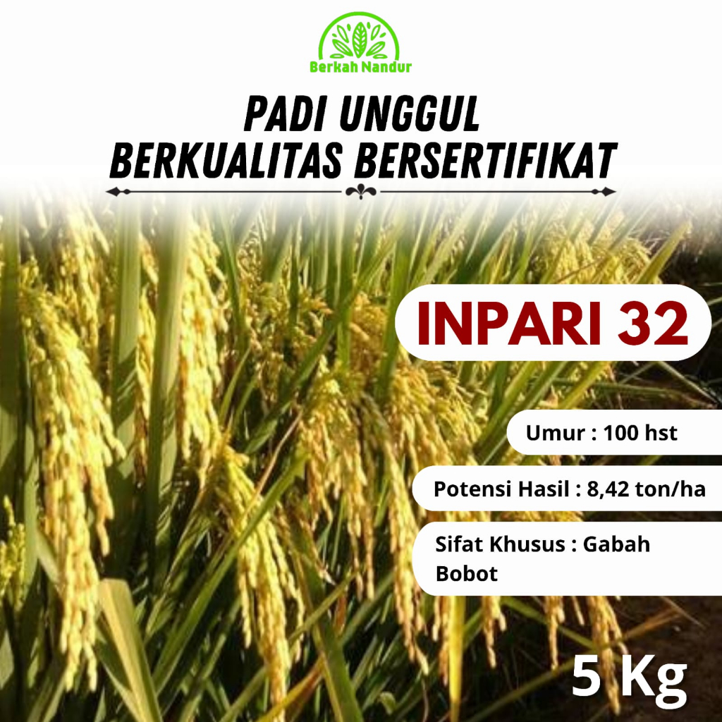 Jual Benih Padi Inpari 32 HDB Tahan Blast Kemasan 5 kg Padi Unggul | Shopee Indonesia