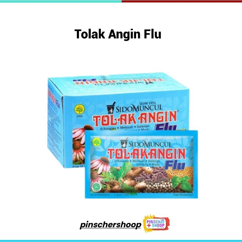 Jual Tolak Angin Flu Sirup Herbal Cair Isi 12 / Box OTC | Shopee Indonesia