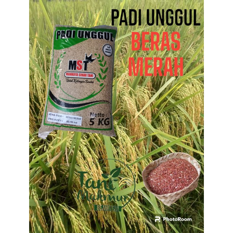 Jual benih padi beras merah kemasan 5kg | Shopee Indonesia
