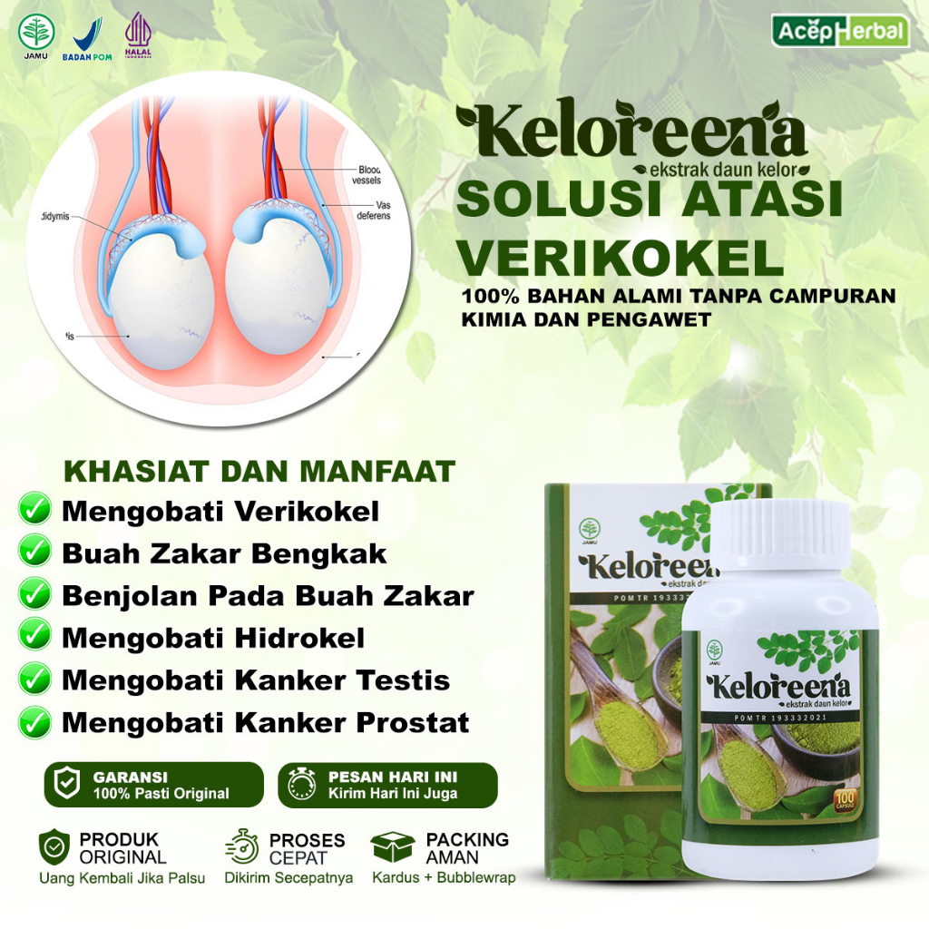 Jual Obat Verikokel Hidrokel Orchitis Pembengkakan Pada Buah Zakar ...