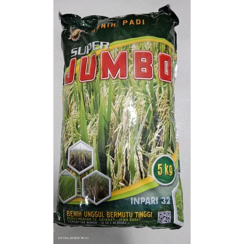 Jual Benih Padi Inpari 32 Super Jumbo (5kg) Lebih Kokoh dan berbobot | Shopee Indonesia