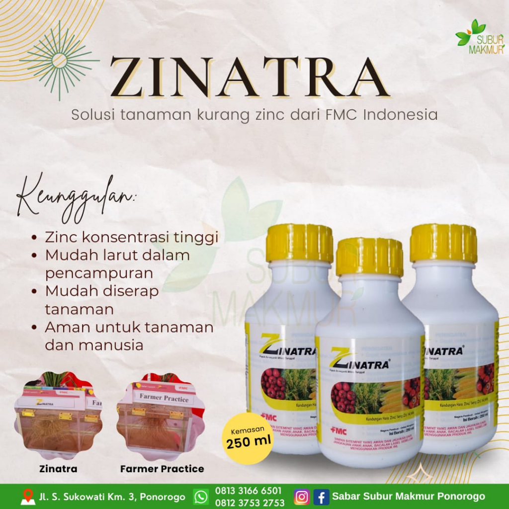 Jual Pupuk mikro ZN Zinc Zinatra 250 ml | Shopee Indonesia