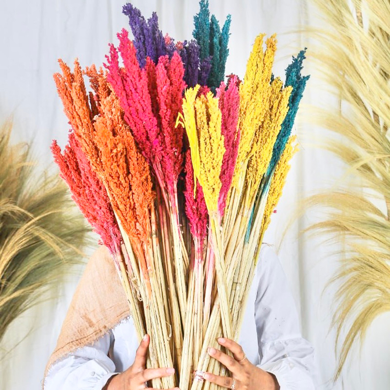 Jual BUNGA CANTEL Hiasan Buket Bunga Dekorasi Rustik Daun Ruskus Kering ...