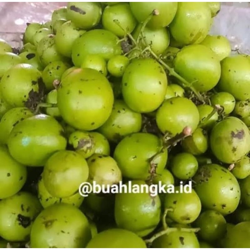 Jual Buah gandaria 250gram buah jatake buah asem buah musiman buah ...