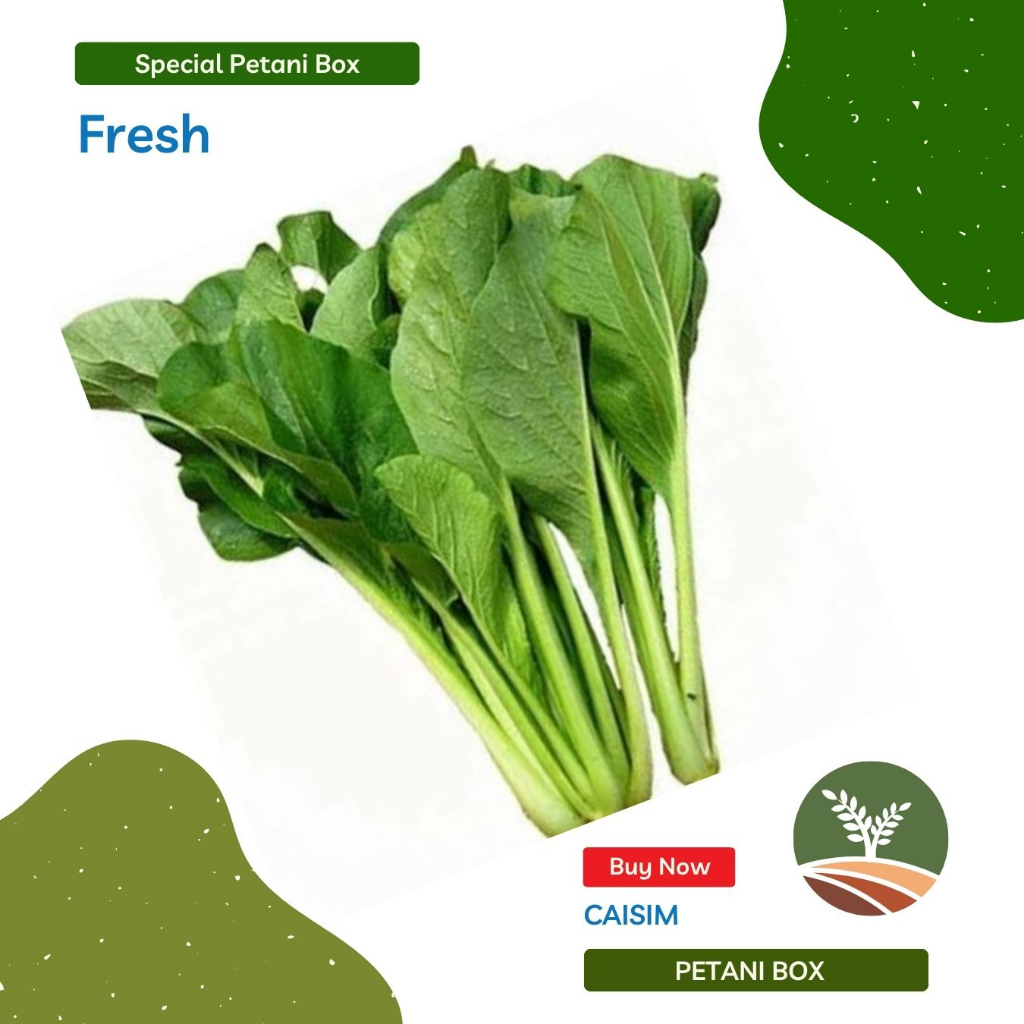 Jual Sawi Hijau Caisim 1Kg Petani Box | Shopee Indonesia