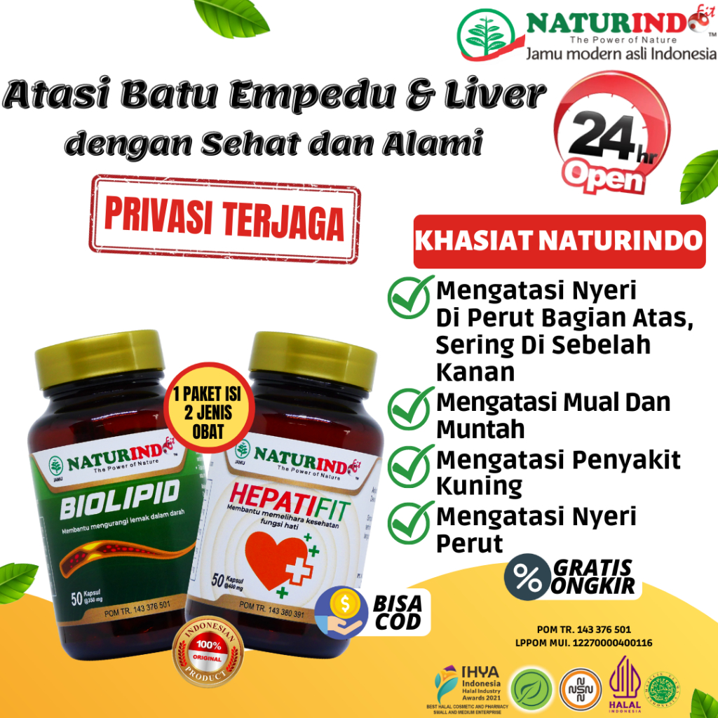 Jual Obat Batu Empedu Liver Perut Bengkak Membesar Fatty Liver Nyeri ...